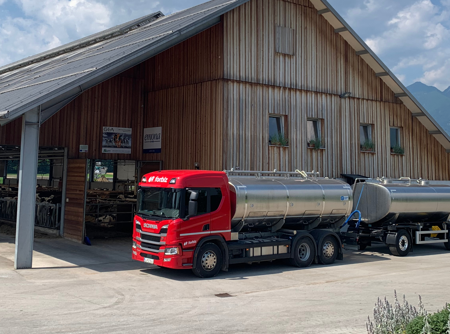 Milk collection - Forbiz